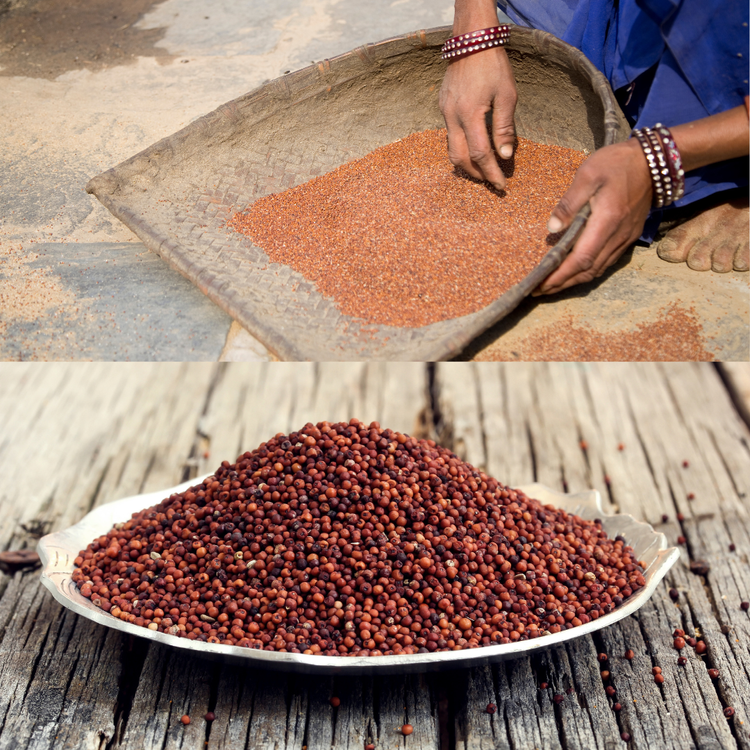 Ragi Seed (Finger Millet) Whole Grain Sourdough Bread — Elly's Everyday