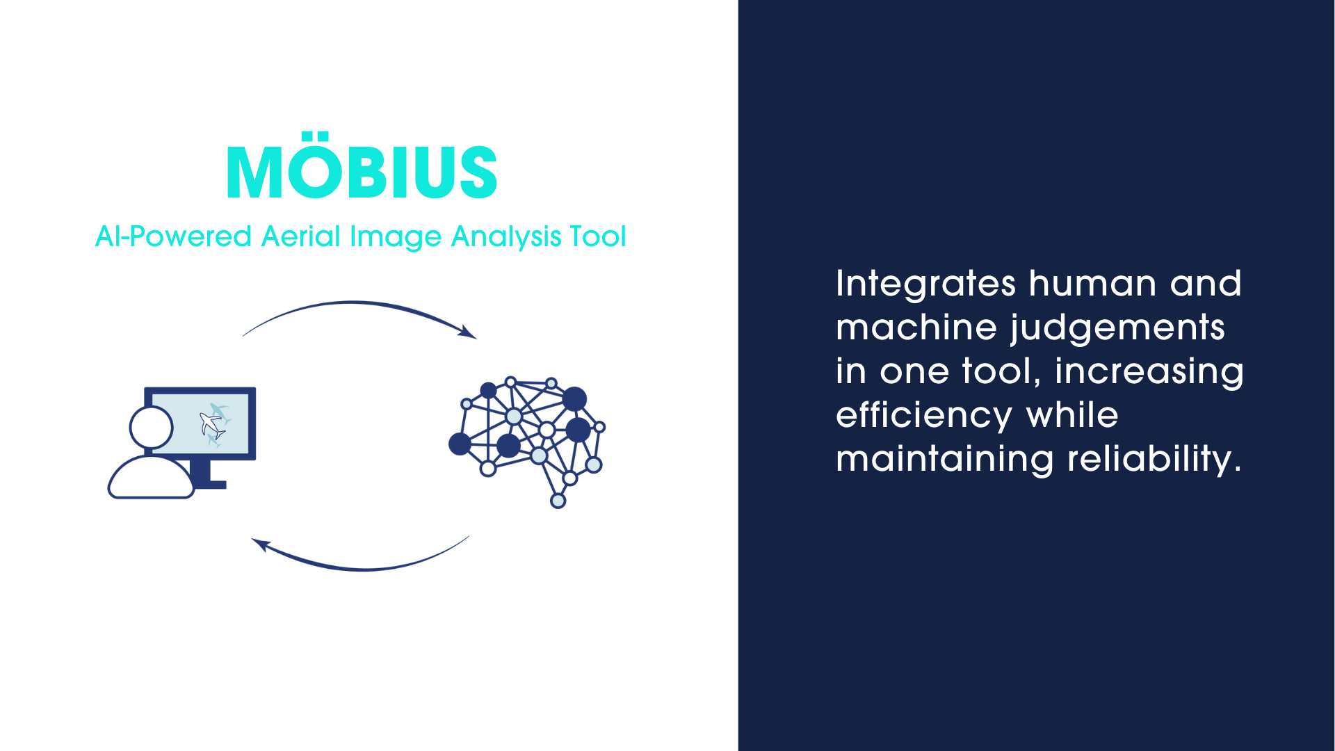 Mobius — Whale Seeker