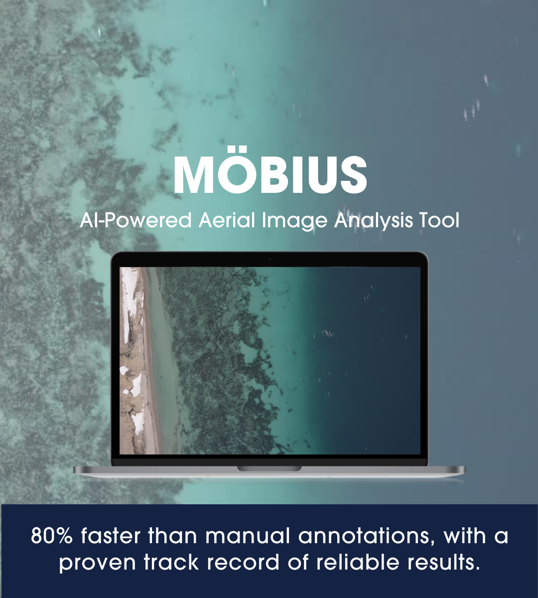 Mobius — Whale Seeker