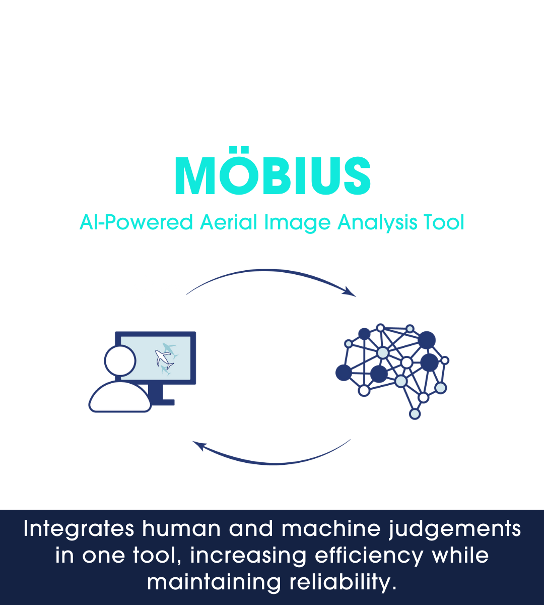 Mobius — Whale Seeker