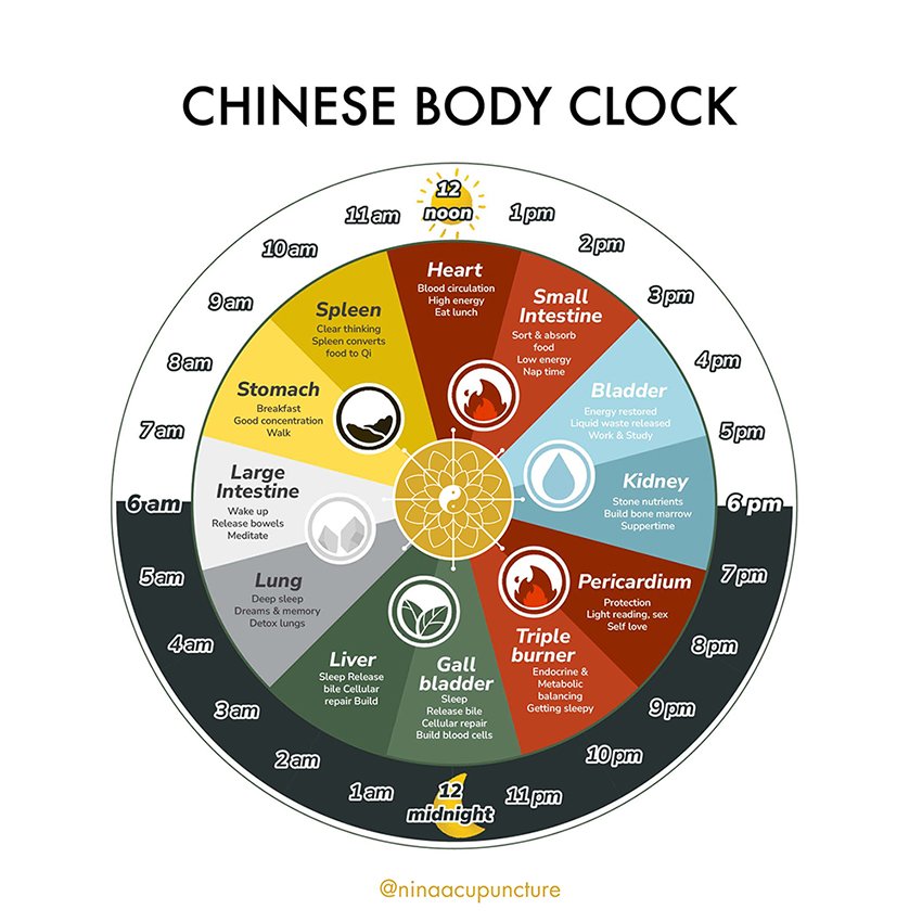 Nina Acupuncture | Expert Acupuncture & Holistic Healing in Westport, CT