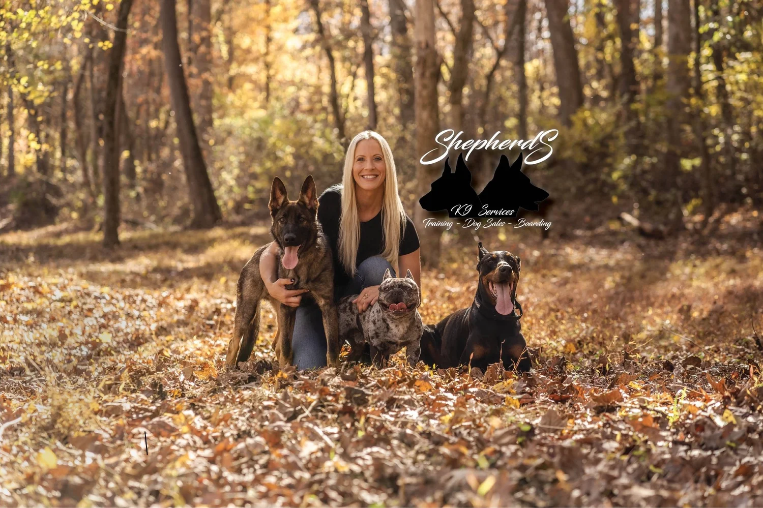 Shepherds K9 Services