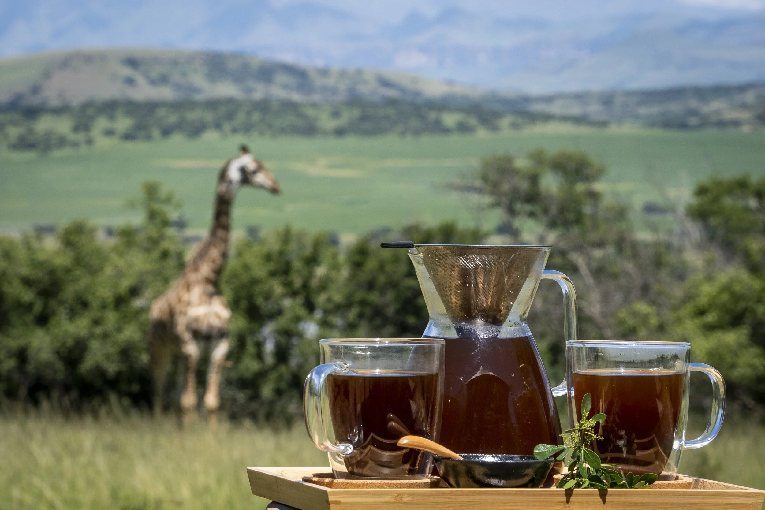 Gallery | Discover Your Retreat — Sasi Bush Lodge