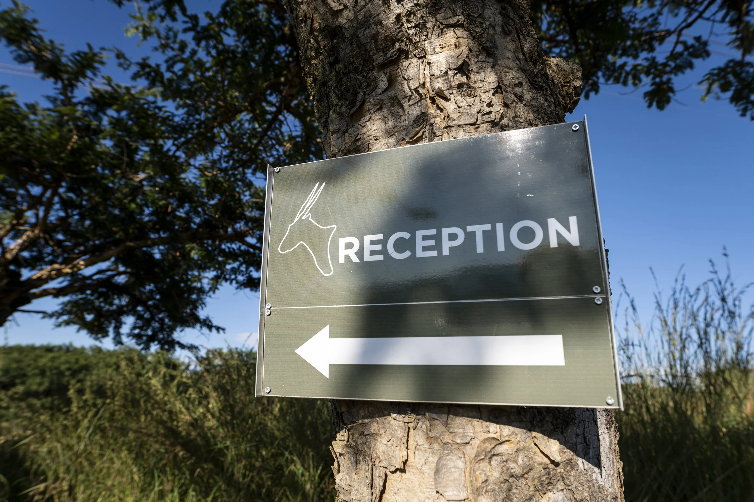 Gallery — Sasi Bush Lodge