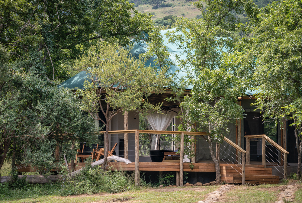 Jujube Luxury Tent | Experience Unmatched Luxury — Sasi Bush Lodge