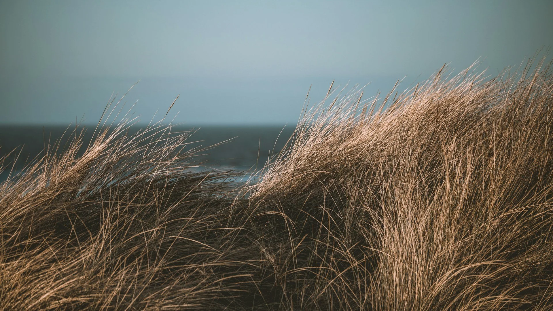 Panoramahaus Usedom