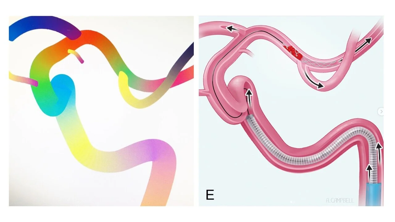 Drawing Blood Vessels Using Illustrator’s Blend Tools by Annie Campbell ...