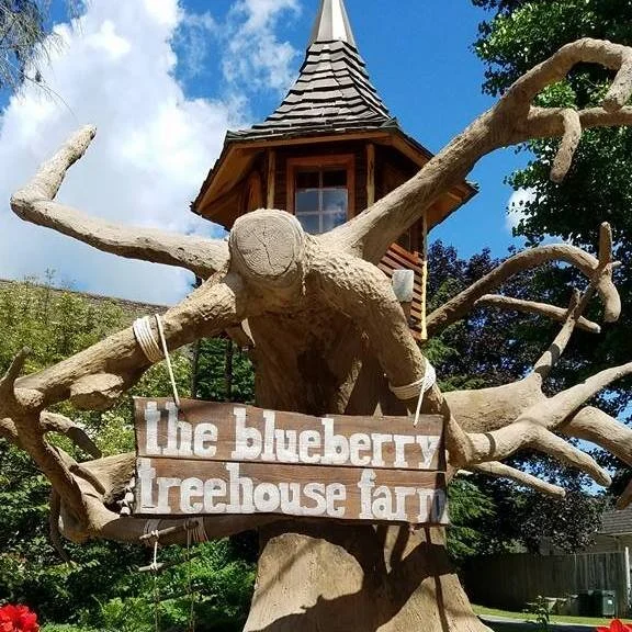 Hours & Admission — Blueberry Treehouse Farm