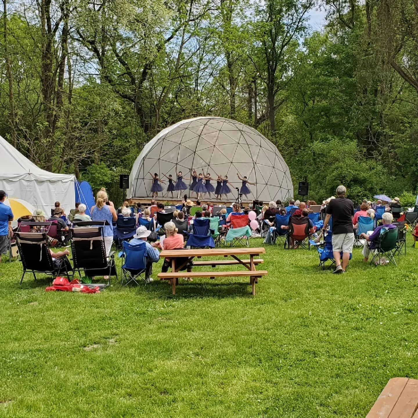 Blueberry Treehouse Farm