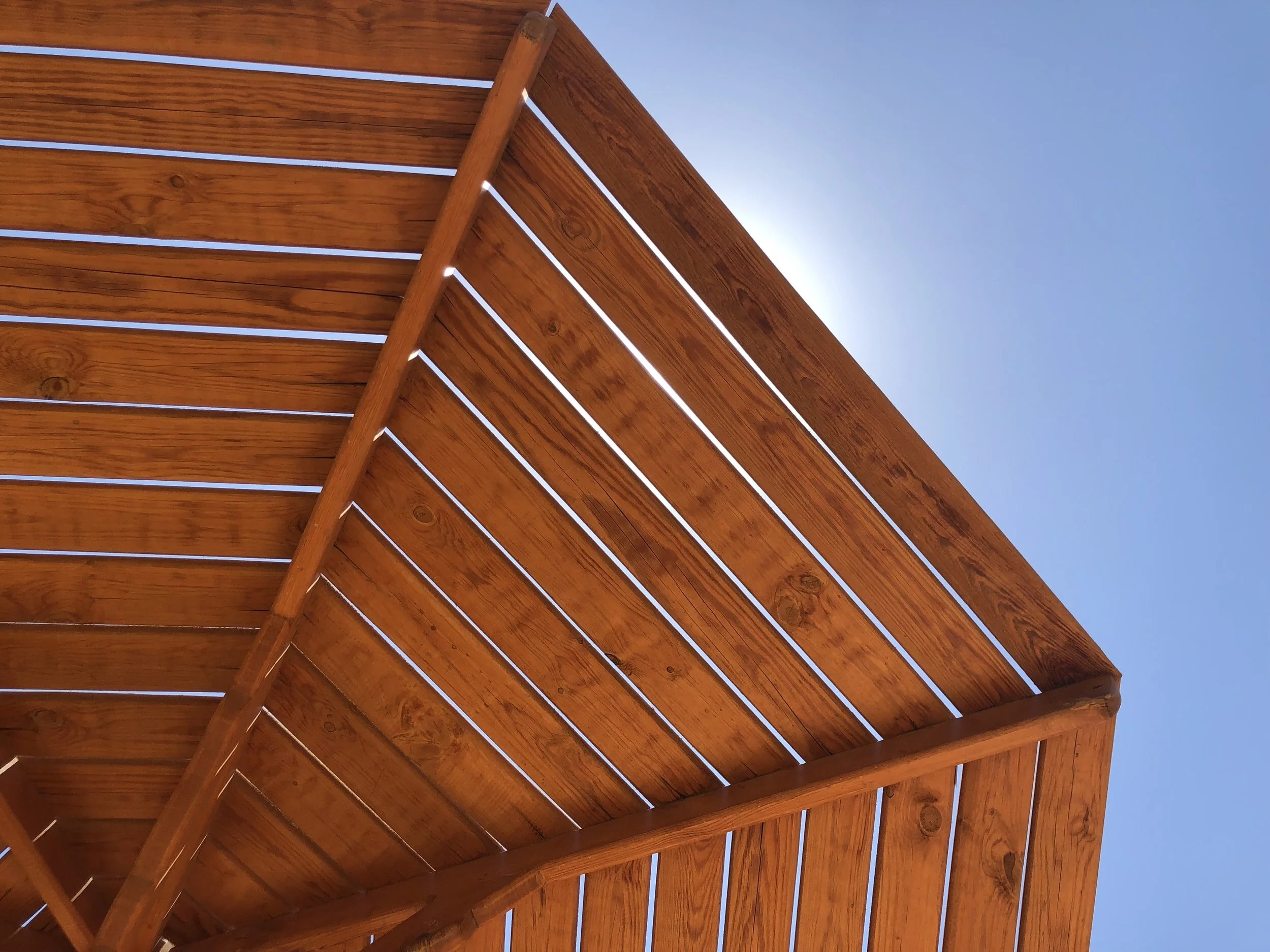 Blueberry Treehouse Farm