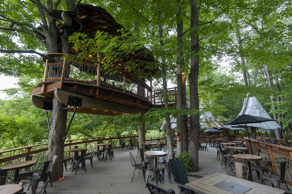 Treehouse Cafe — Blueberry Treehouse Farm