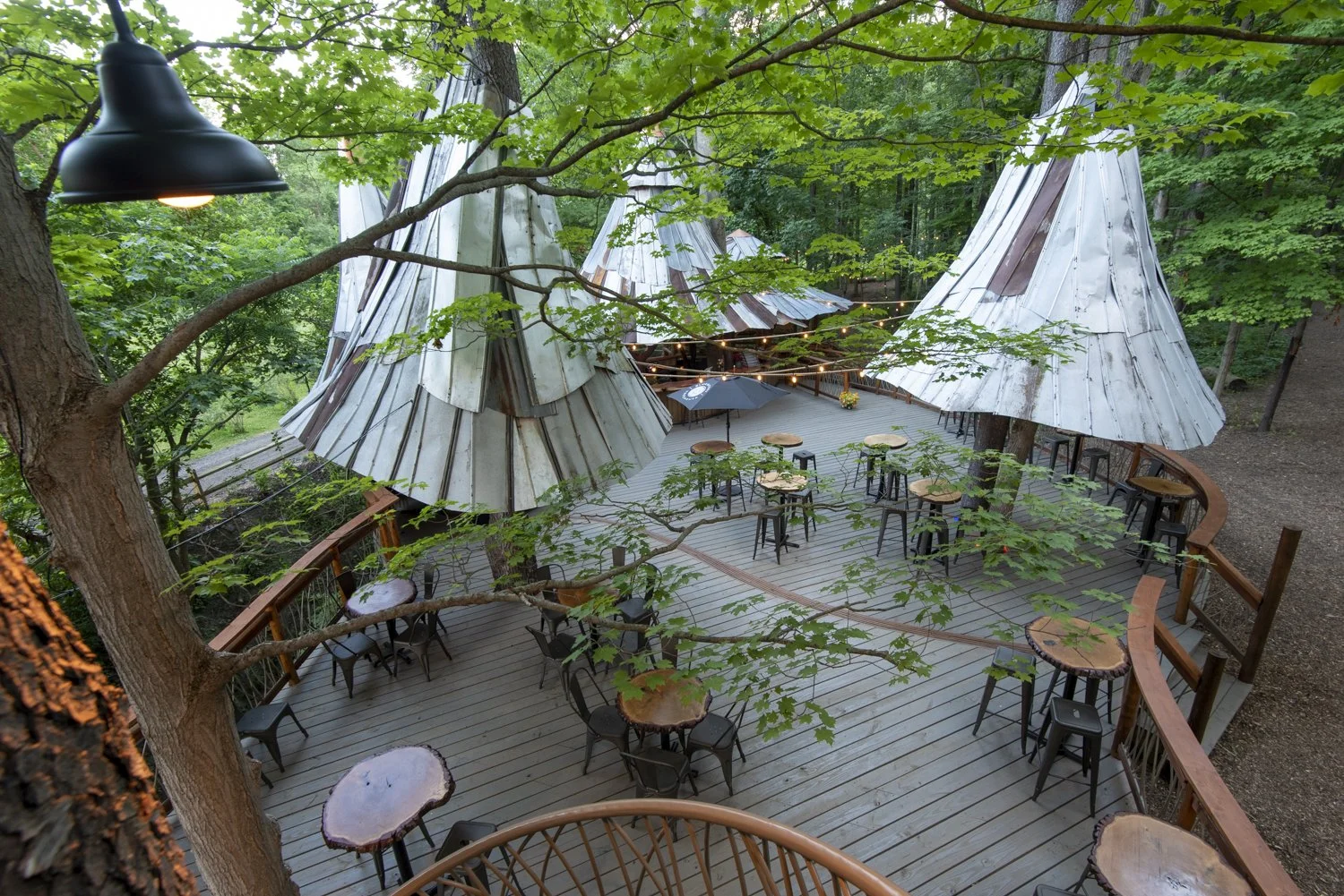 Treehouse Cafe — Blueberry Treehouse Farm
