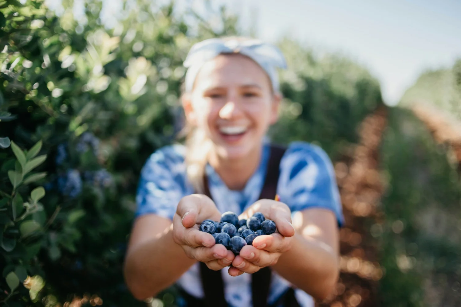 Hours & Admissions — Blueberry Treehouse Farm