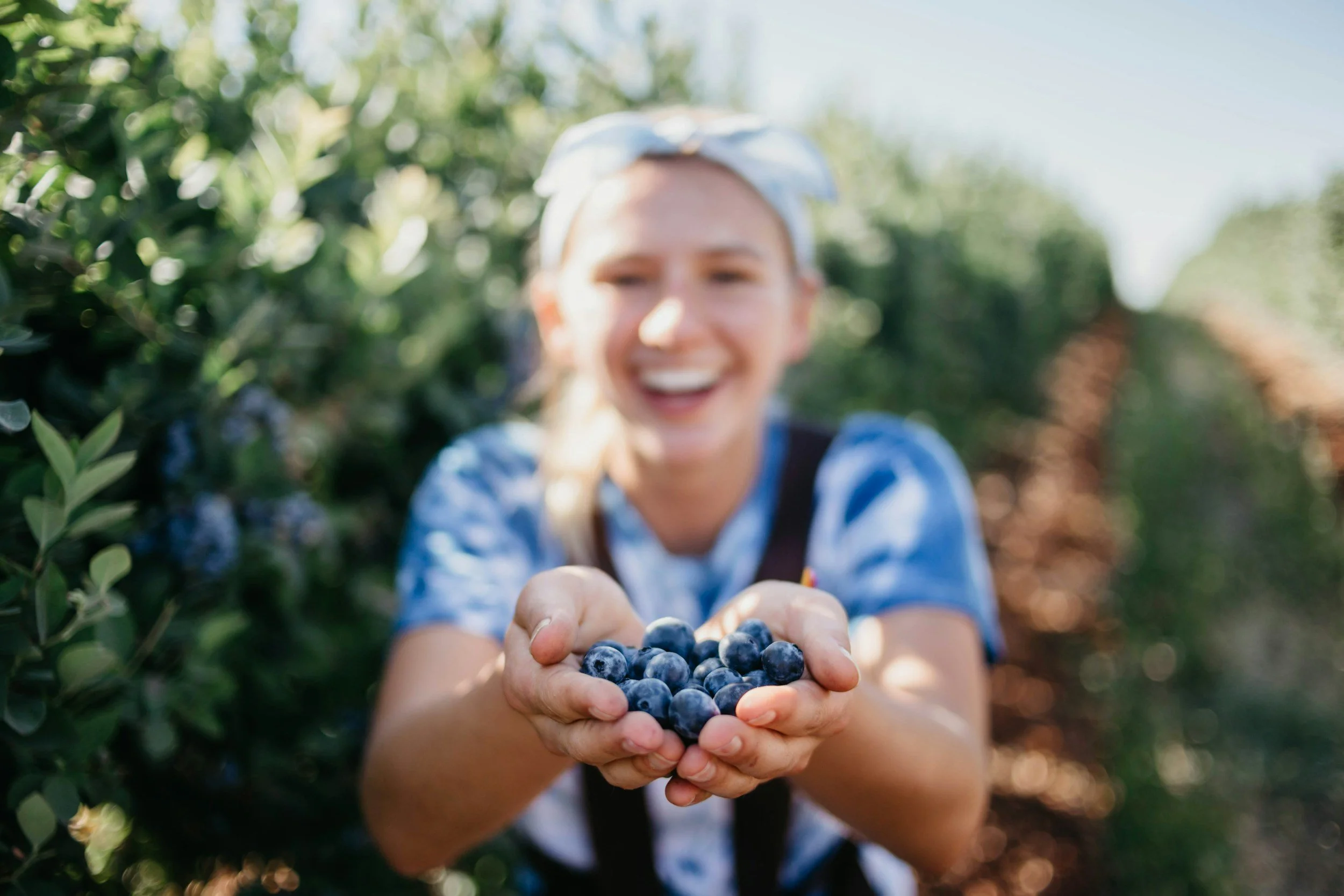 Hours & Admissions — Blueberry Treehouse Farm