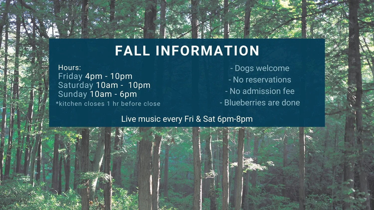 Blueberry Treehouse Farm