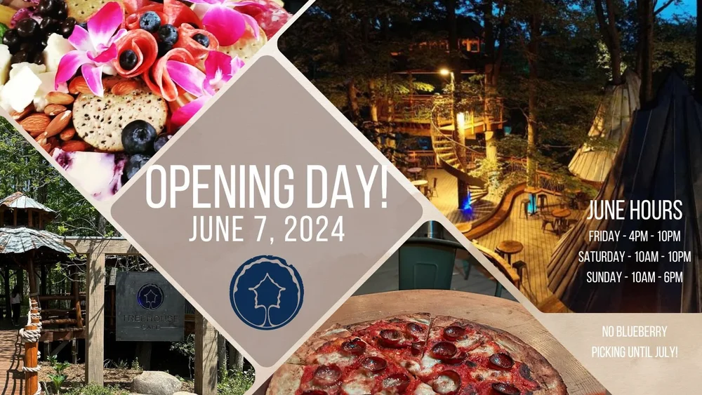 Blueberry Treehouse Farm