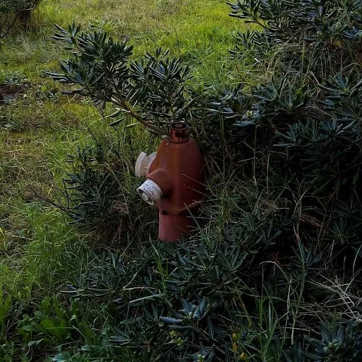 A Conversation With R. M. Rami: A Multi-Talented Artist From Algeria ...