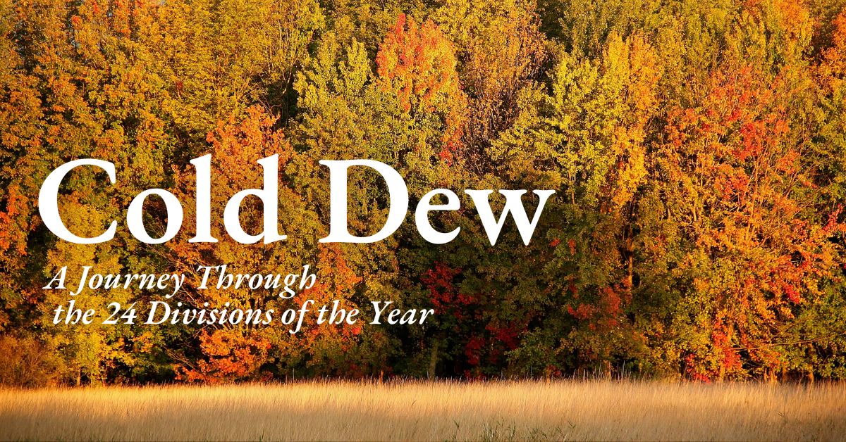 Cold Dew Rediscovered — Season by Season