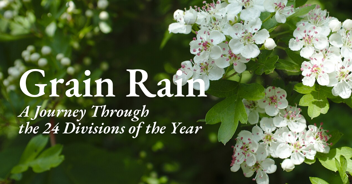 Grain Rain Rediscovered — Season by Season