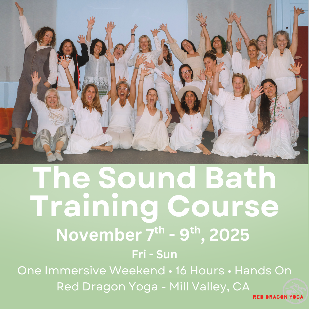 Teacher Training | Northern CA — Red Dragon Yoga