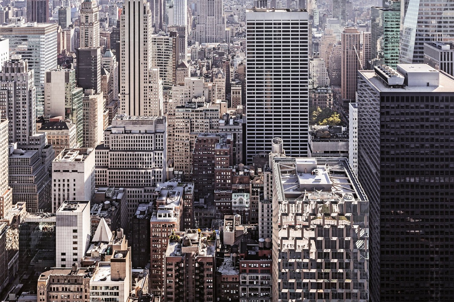 News — SIDOTI & Company