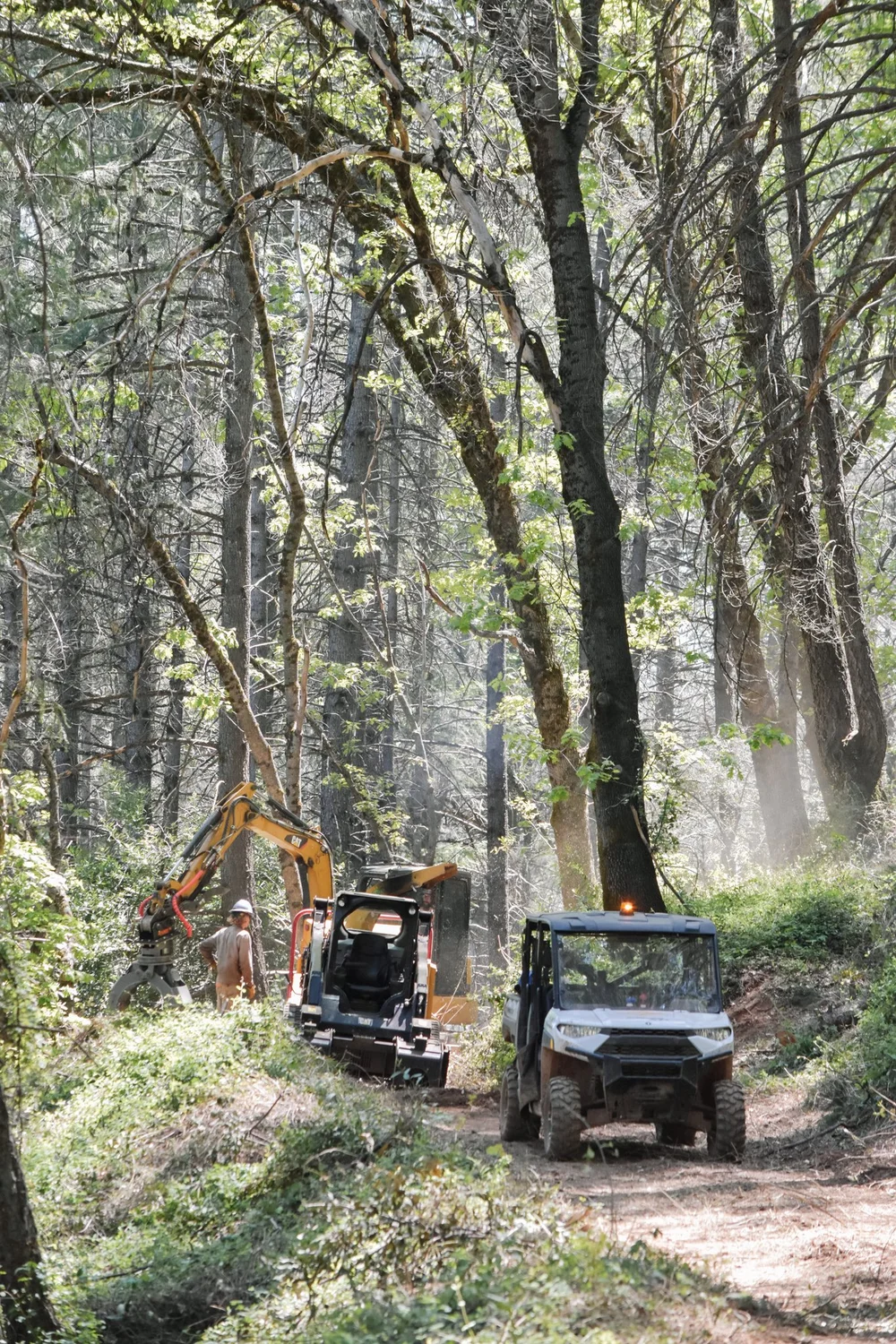 Wildfire Services Group