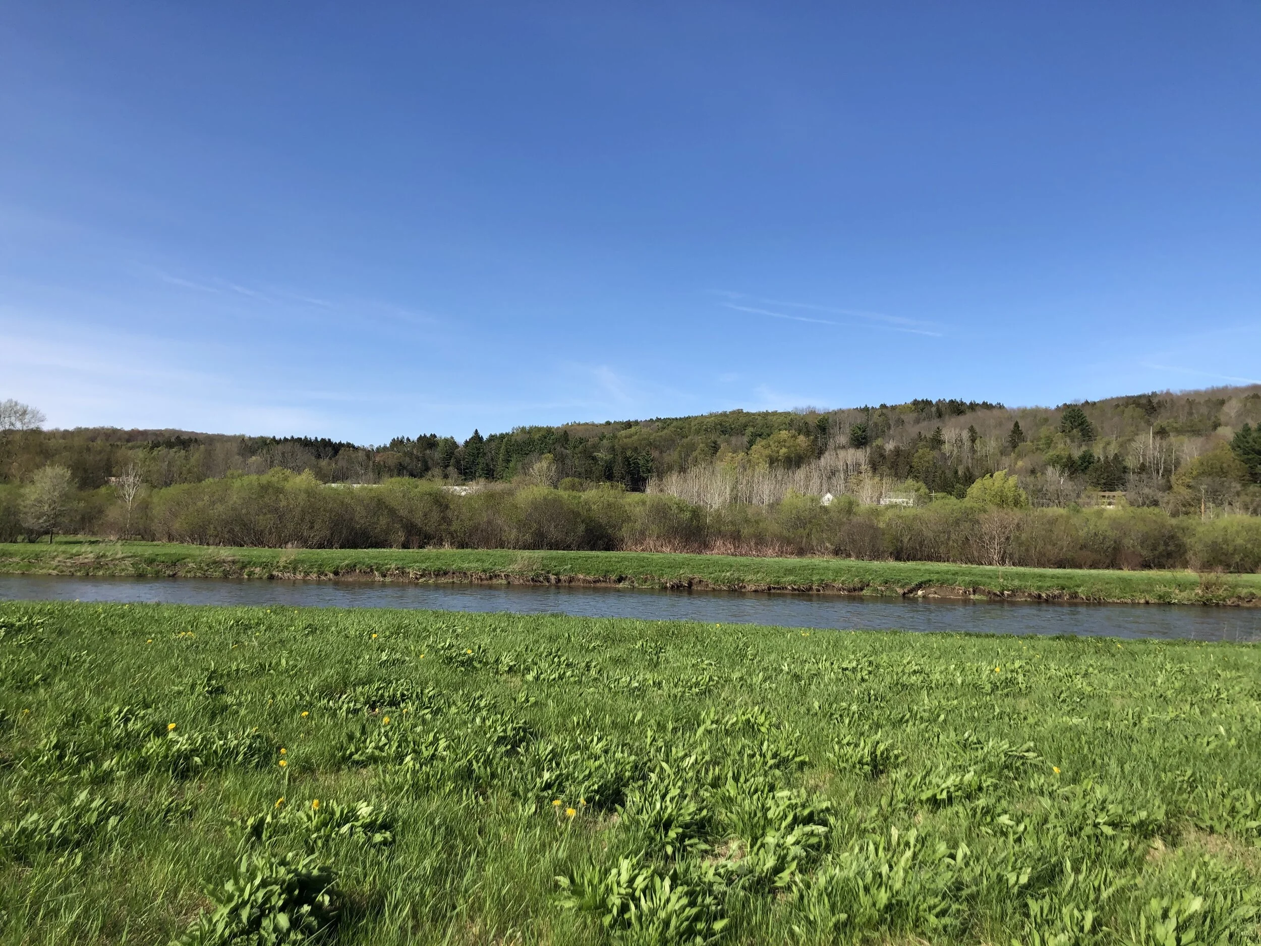 River Trails — Chenango Greenway Conservancy