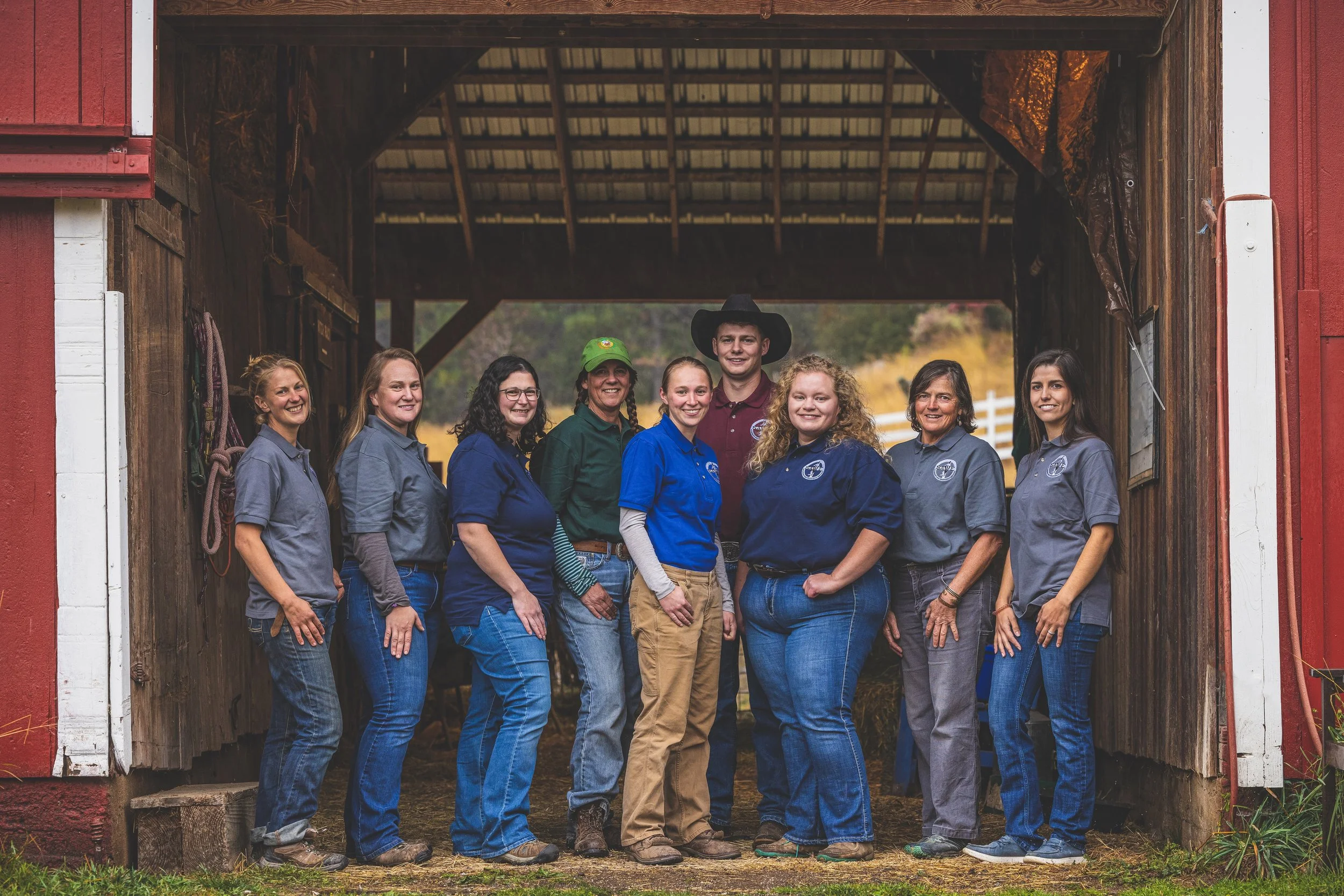 Sandpoint Area Veterinary And Emergency