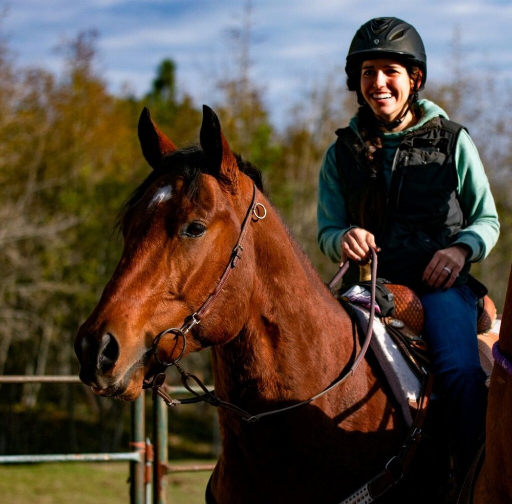 The Team Sandpoint Area Veterinary And Emergency
