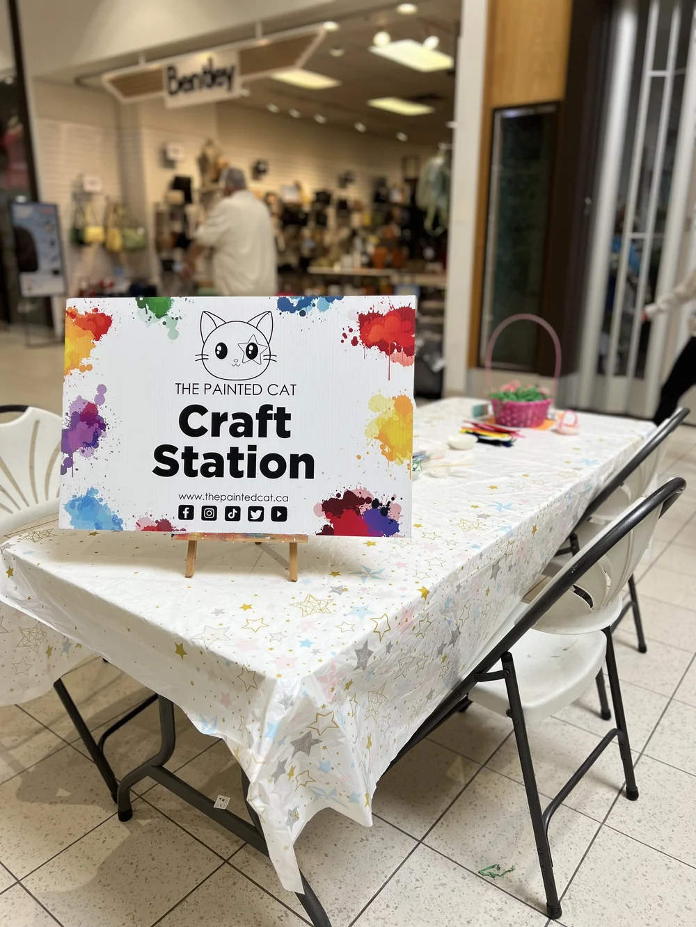 Creation Stations — The Painted Cat