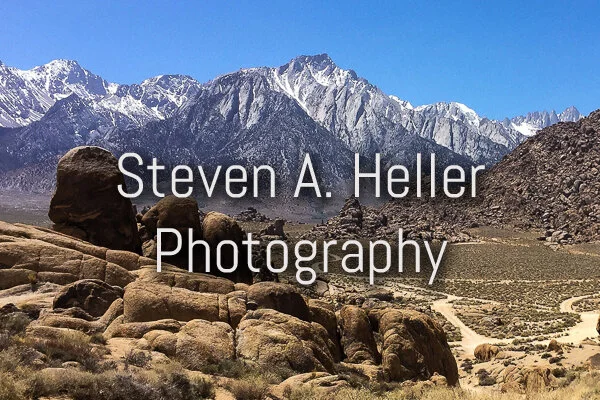 Venice Beach Collections - Main Site