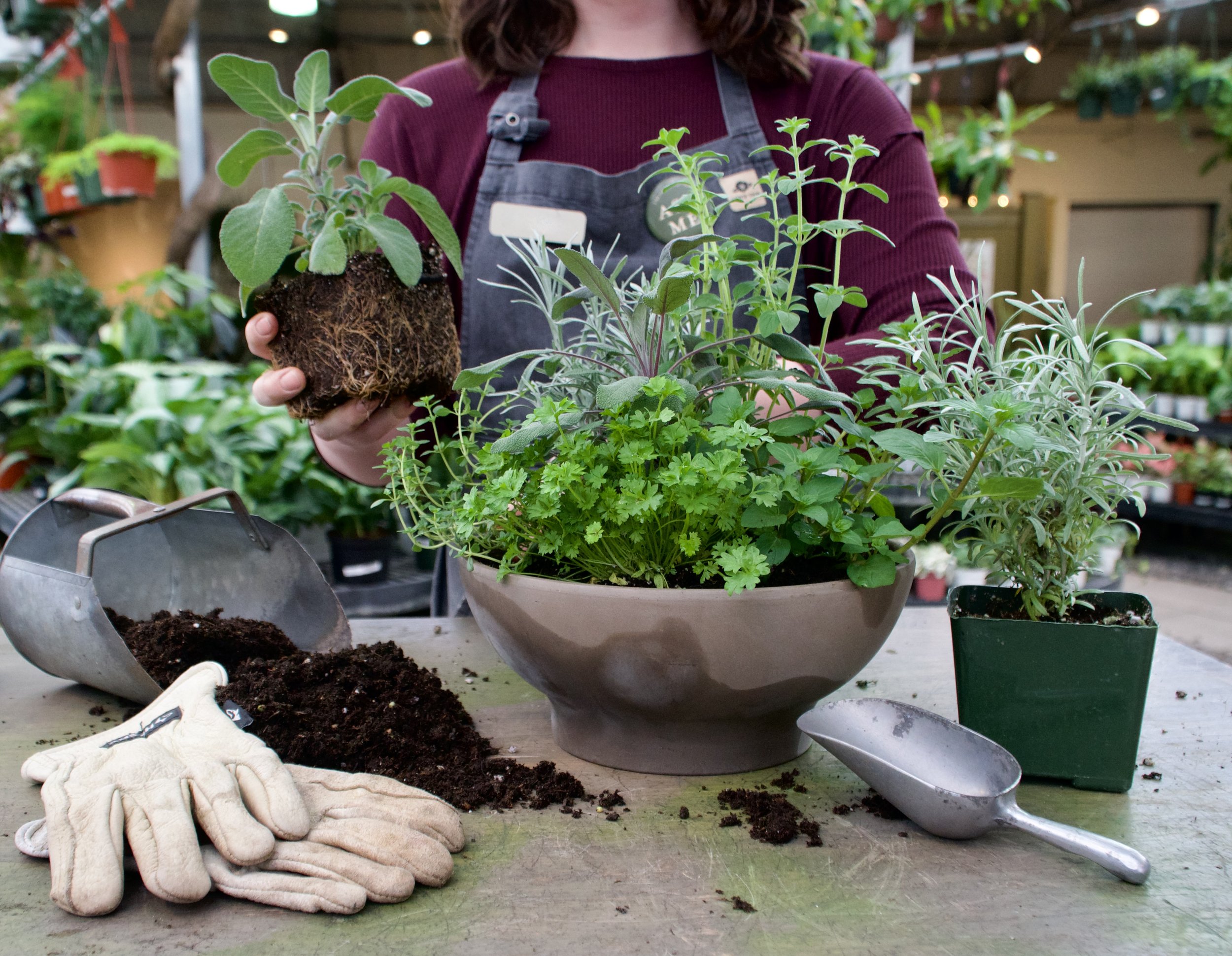 Classes & Workshops — Cactus & Tropicals