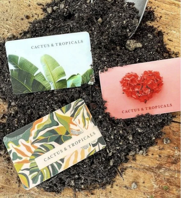 Store 1 — Cactus & Tropicals