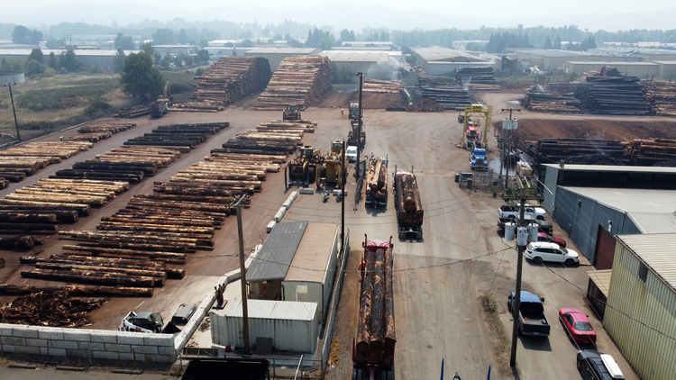 PDXAP Map - Z-Laminators — Future Forests