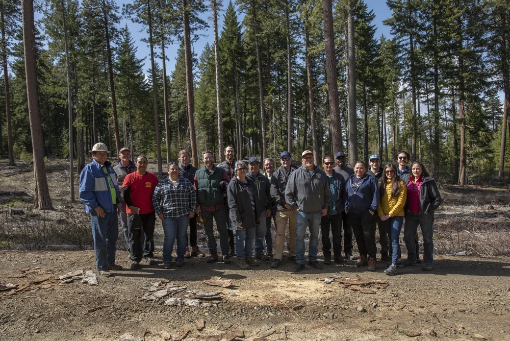 PORTLAND INTERNATIONAL AIRPORT — Future Forests