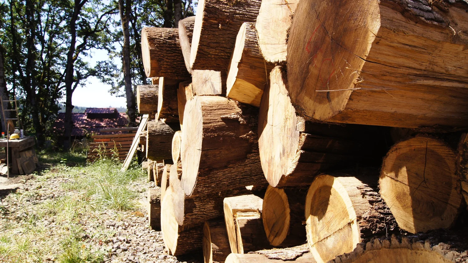 PDXAP Map - Zena Forest Box — Future Forests