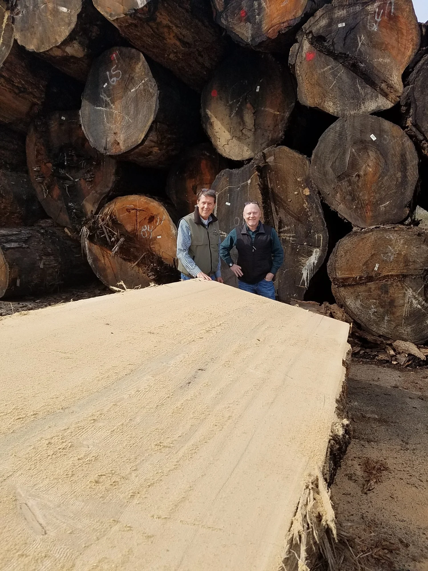 PDXAP Map - Herbert Lumber Box — Future Forests