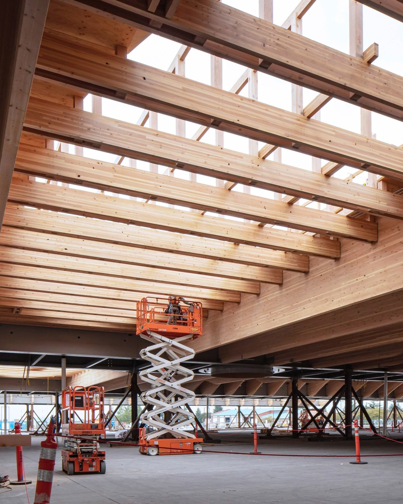 PDX-NEXT — Future Forests