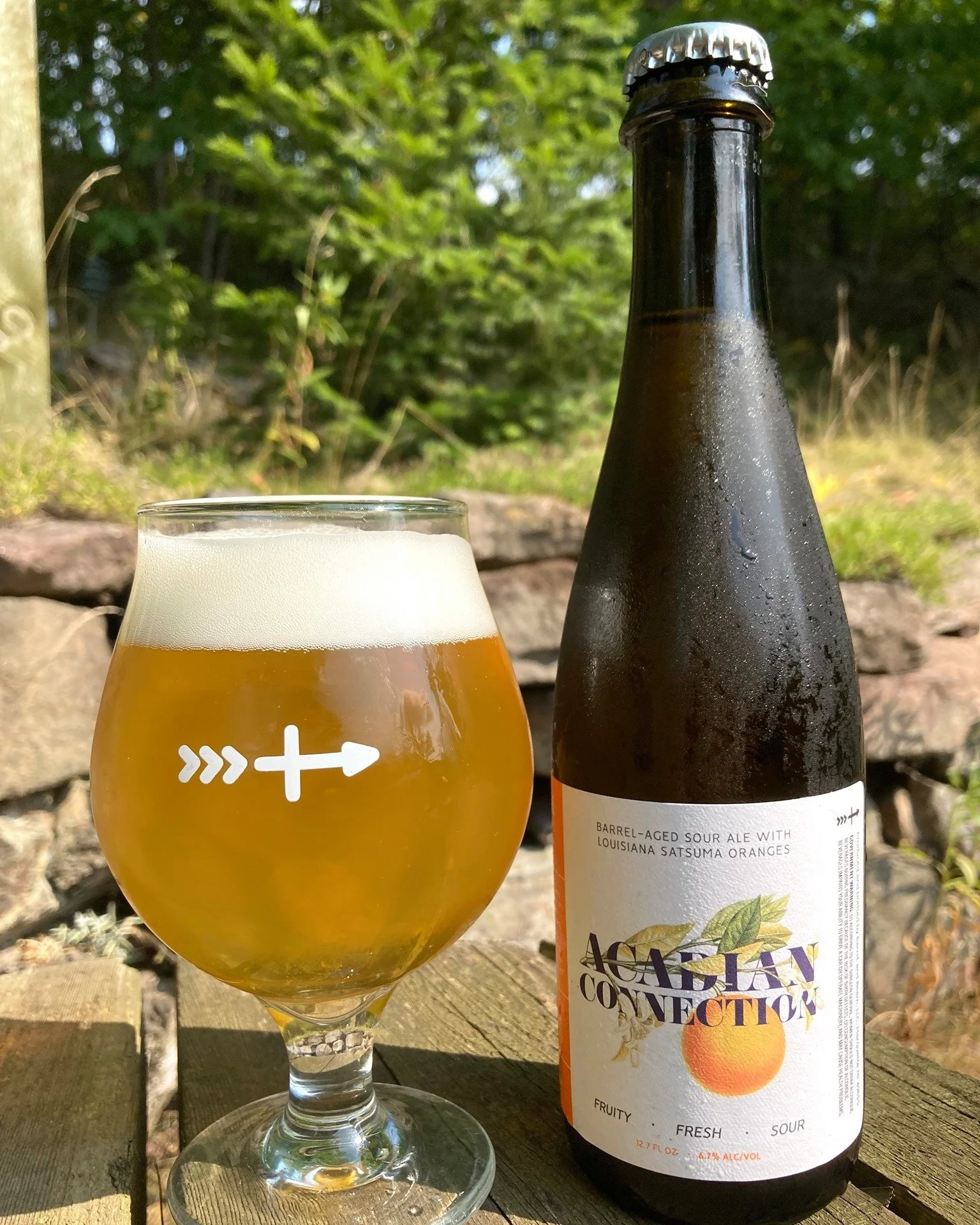 Summer of Sours — Alli Cole