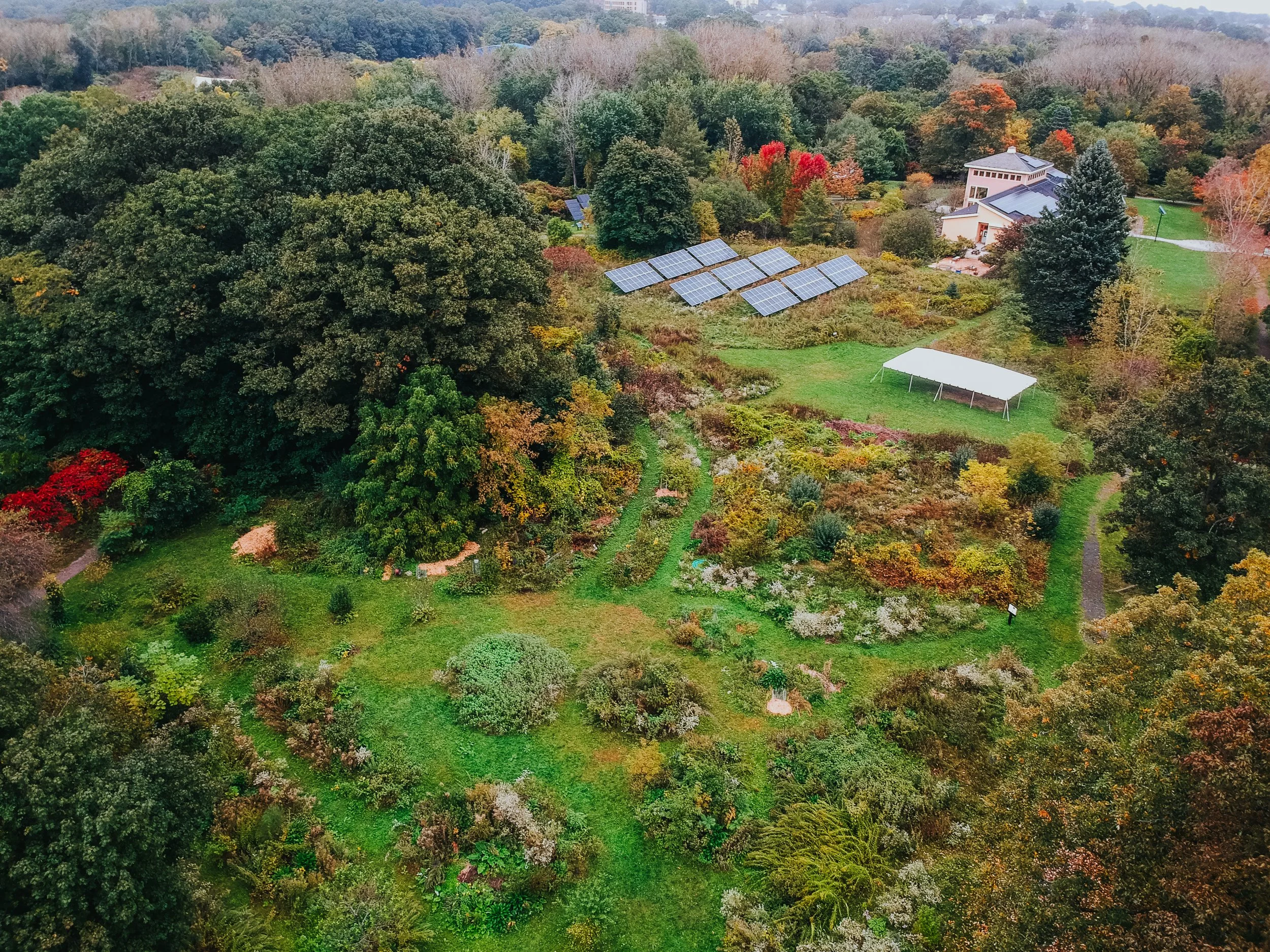 Food Forest Sites — Boston Food Forest Coalition