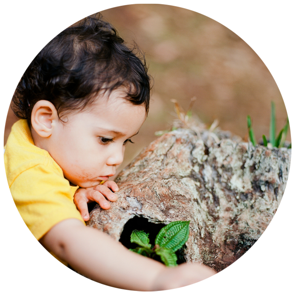 Curriculum — Rise Early Learning Center