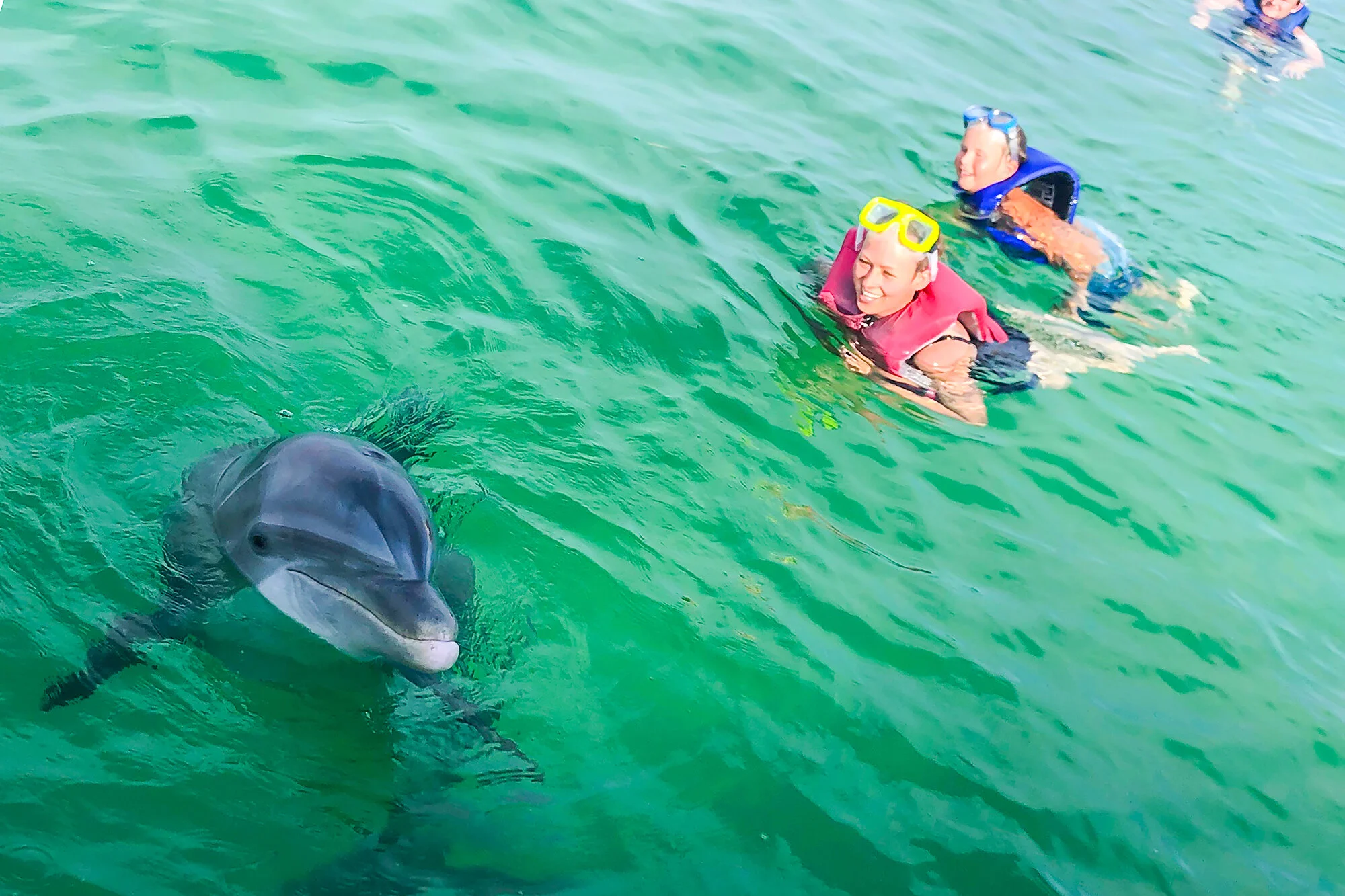 Panama City Beach Dolphin Tours