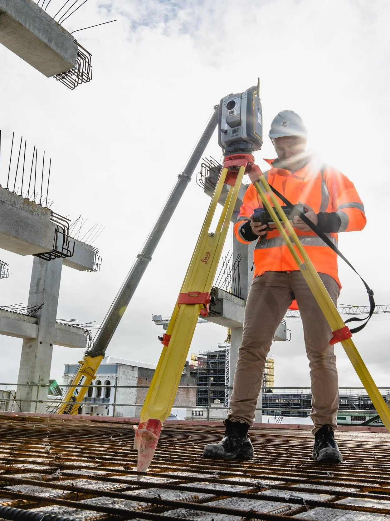 Bonisch NZ | Development-related professional services — Bonisch