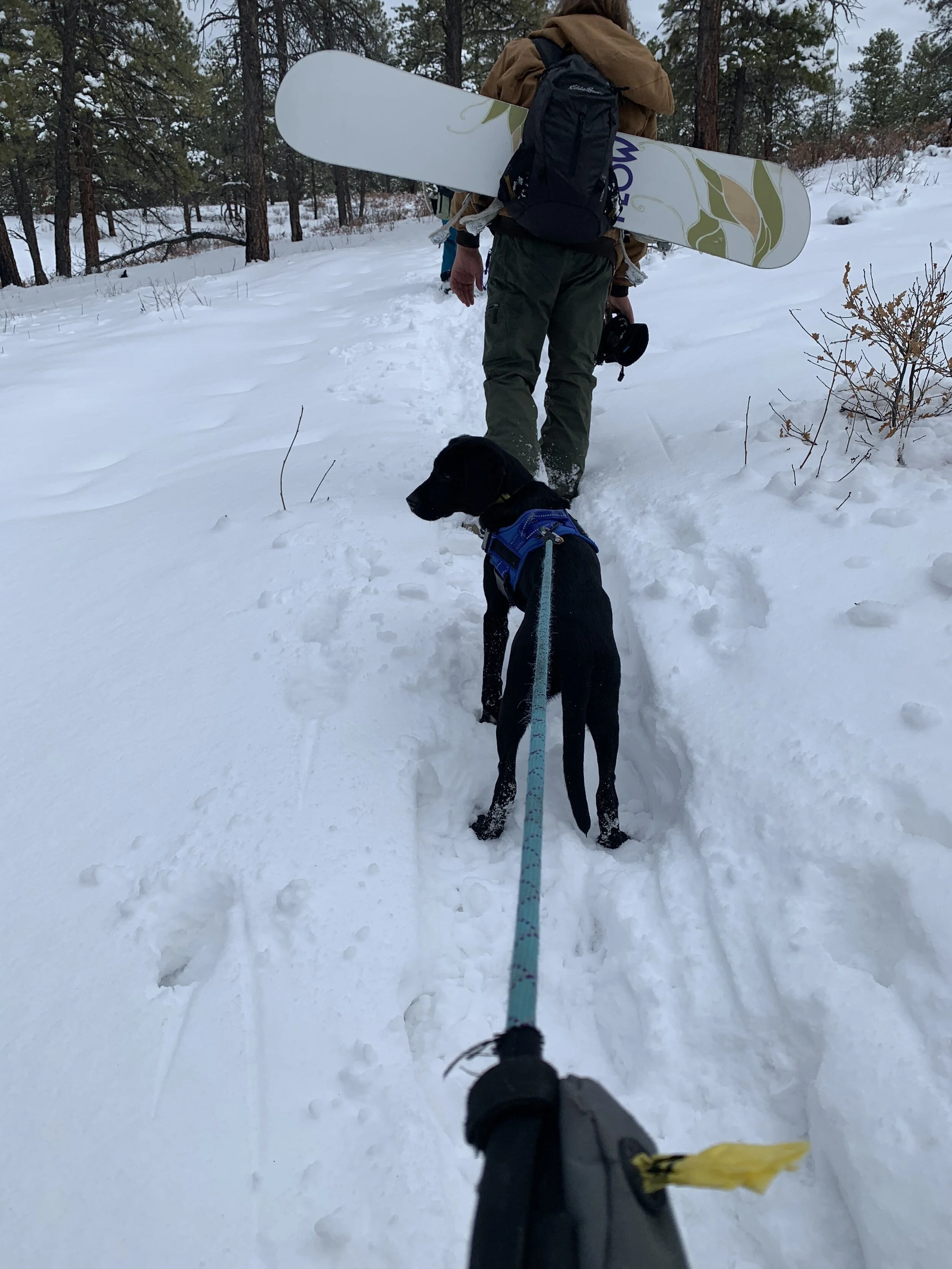 Contact — Cedar Springs Ranch, CO
