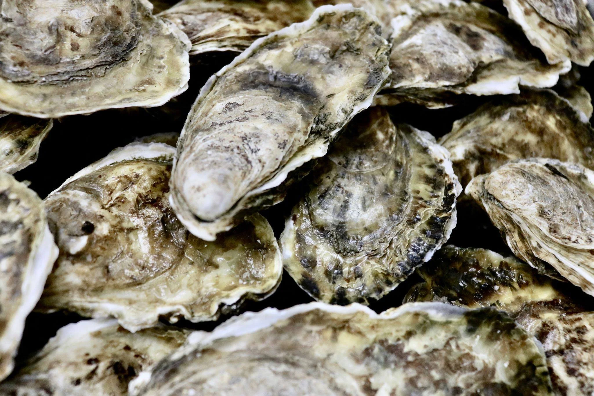 About LWS and Our Core Values — The Lighthouse Wine & Seafood