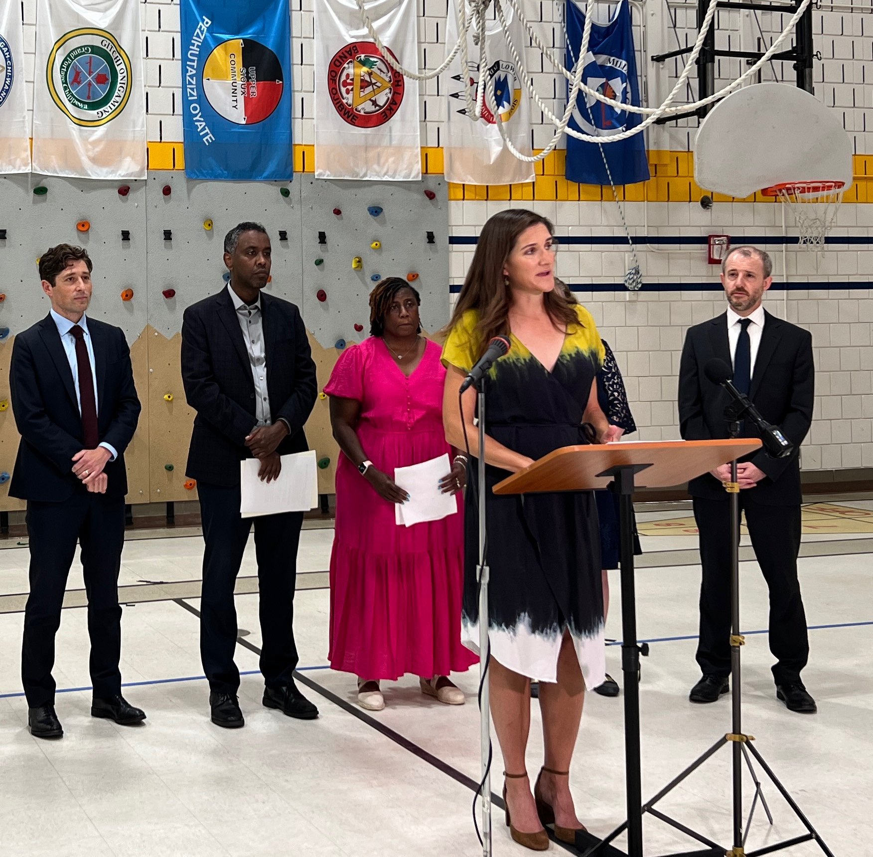 Vision — Re-Elect Linea Palmisano