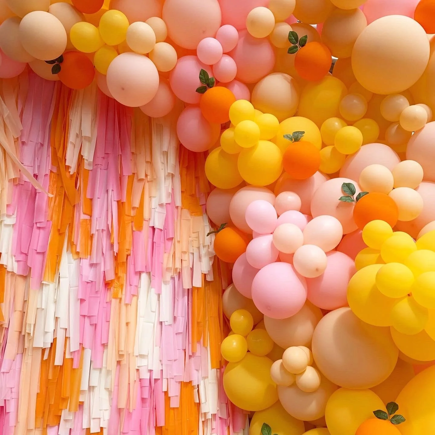 Pricing — HAPPY YAPPY CO