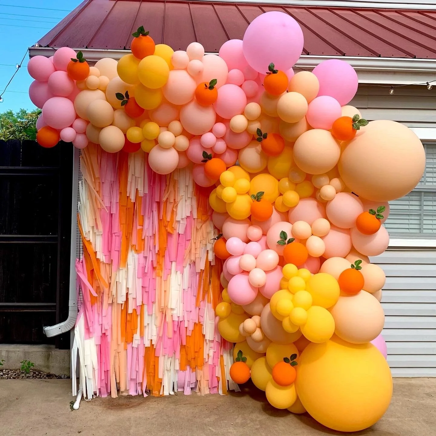 Photo Gallery — HAPPY YAPPY CO