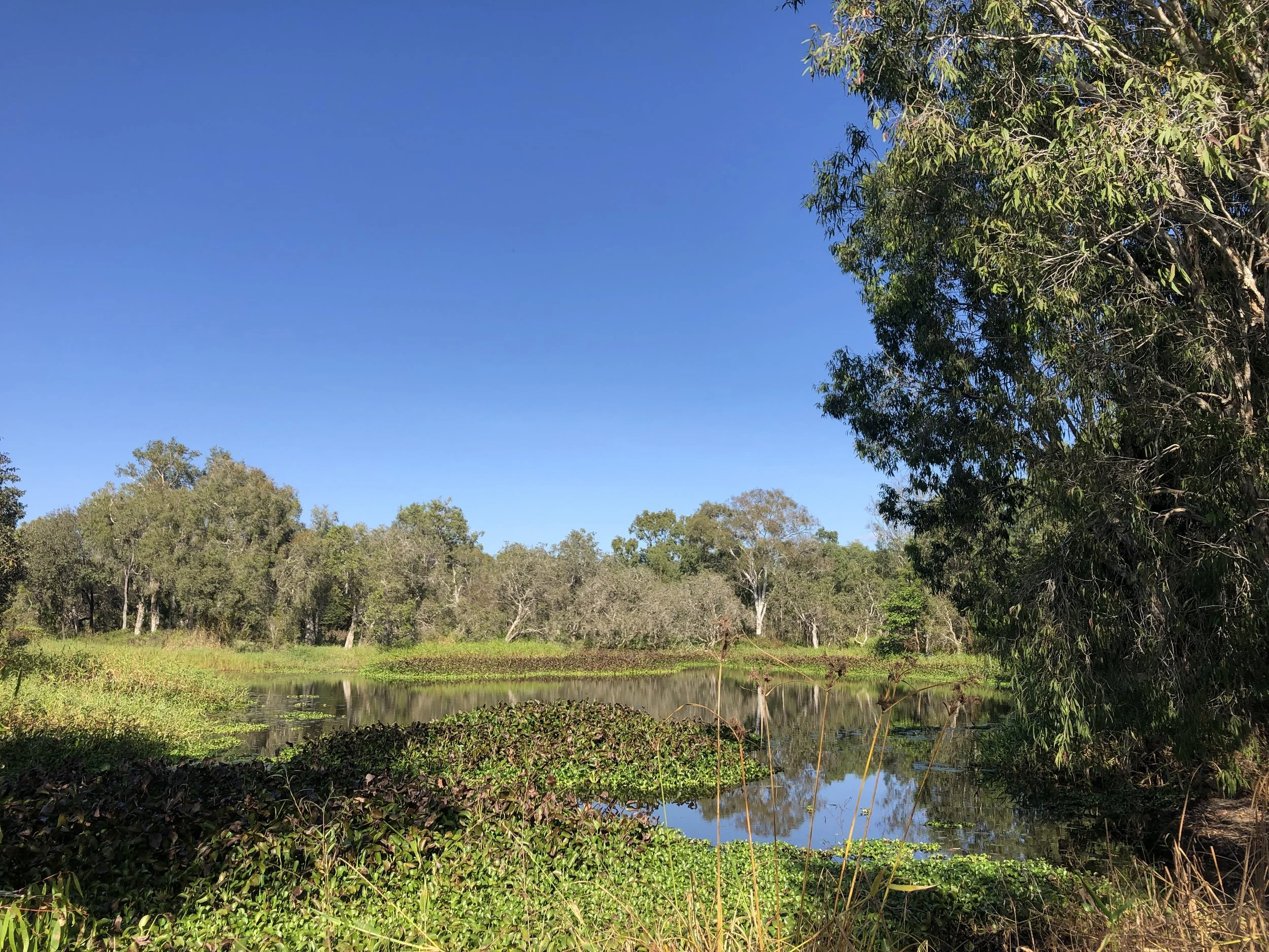 Cosgrove Land For Sale, House & Land Packages | Parkside Land