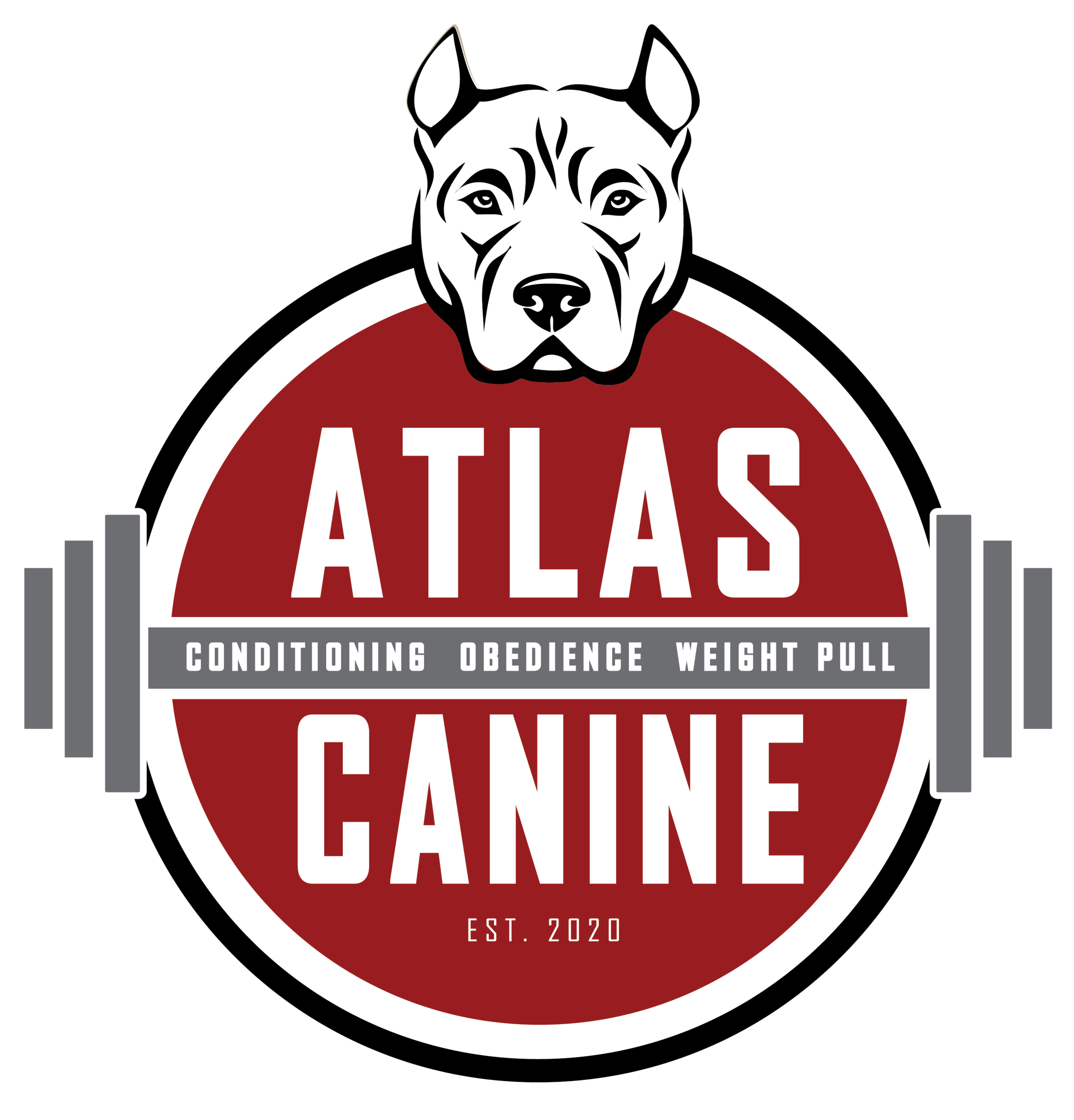 How Much Weight Can A Dog Pull